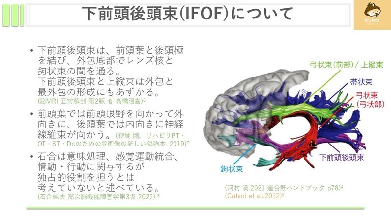 下前頭後頭束(IFOF)について｜くろ 作業療法士