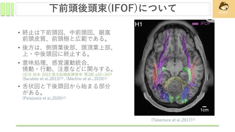 下前頭後頭束(IFOF)について｜くろ 作業療法士