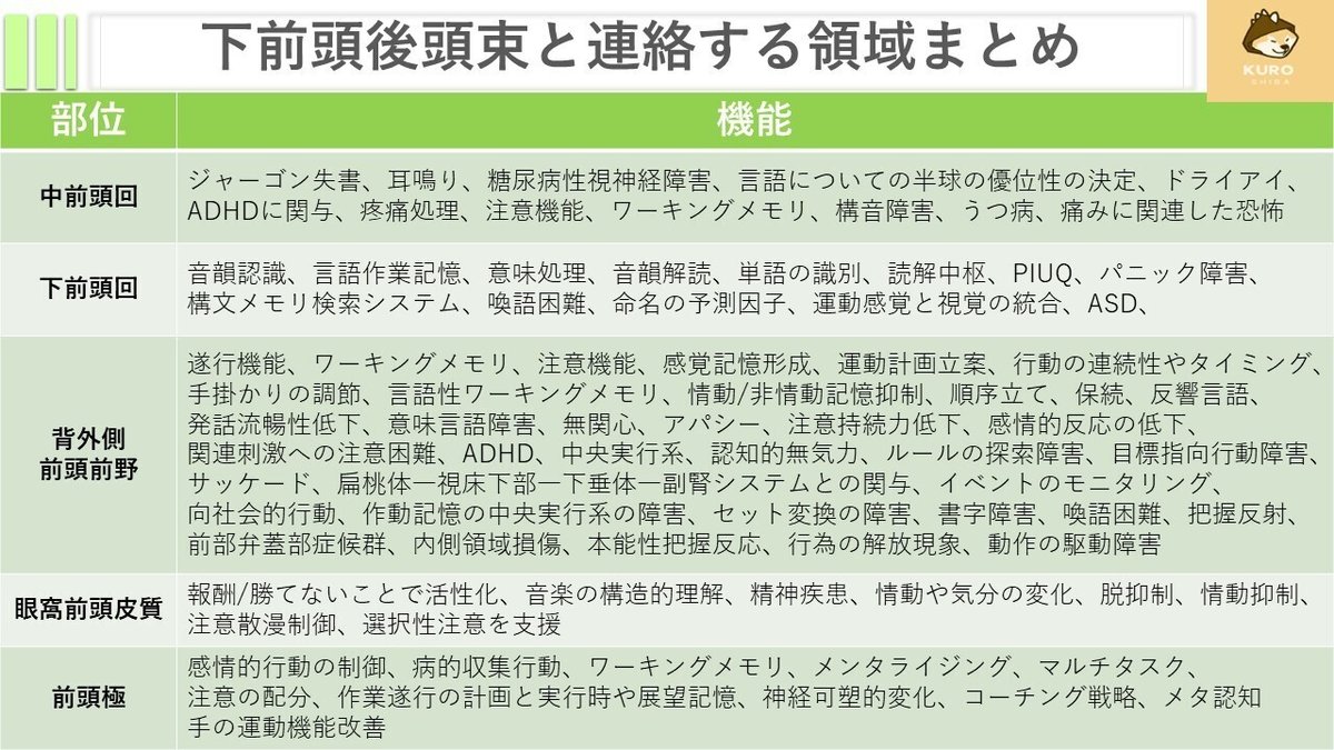 下前頭後頭束(IFOF)について｜くろ 作業療法士