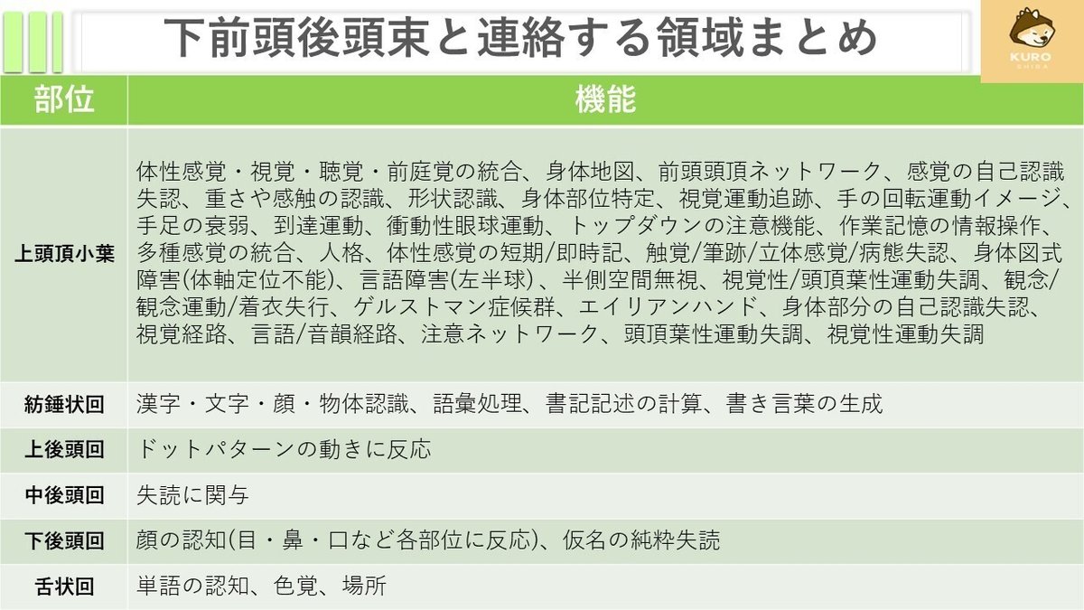 下前頭後頭束(IFOF)について｜くろ 作業療法士