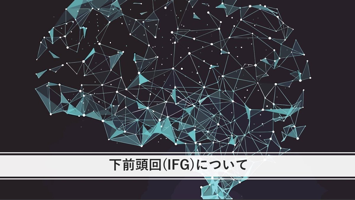 下前頭後頭束(IFOF)について｜くろ 作業療法士
