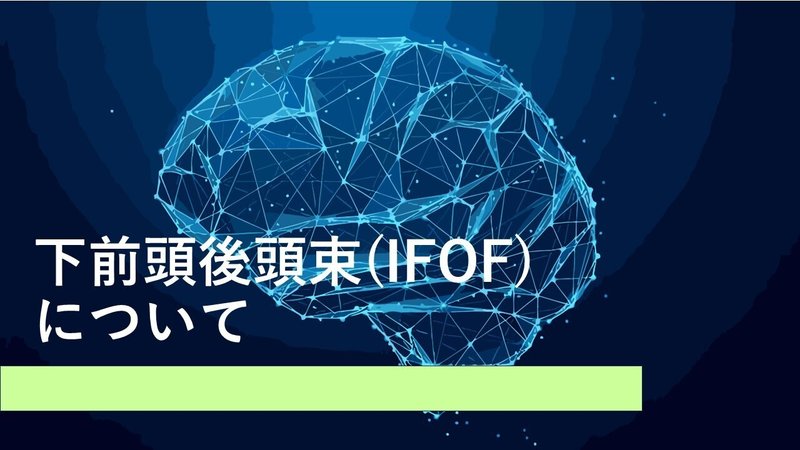 下前頭後頭束(IFOF)について｜くろ 作業療法士