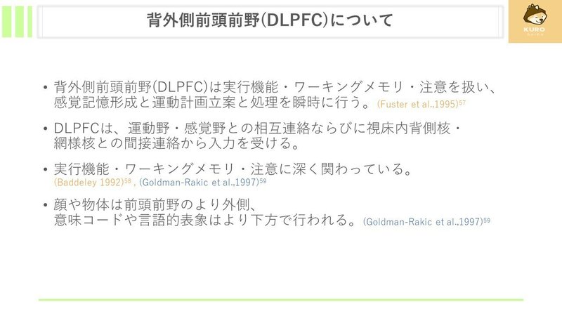 下前頭後頭束(IFOF)について｜くろ 作業療法士