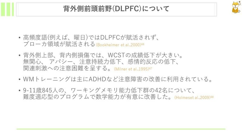 下前頭後頭束(IFOF)について｜くろ 作業療法士
