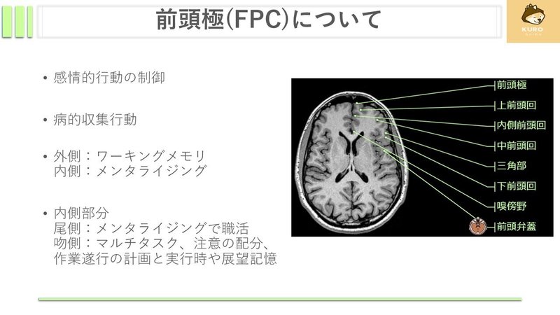 下前頭後頭束(IFOF)について｜くろ 作業療法士