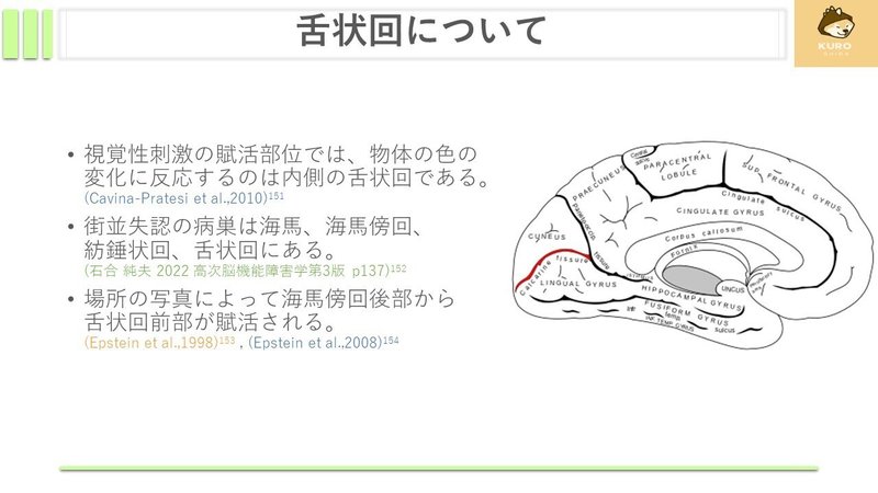 下前頭後頭束(IFOF)について｜くろ 作業療法士