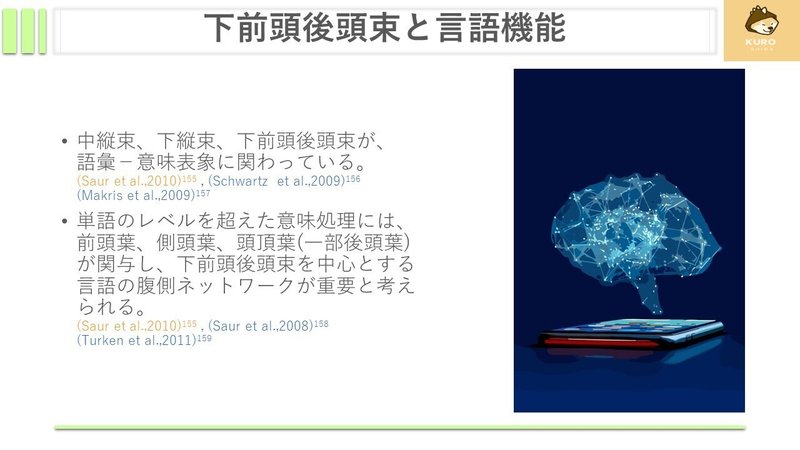 下前頭後頭束(IFOF)について｜くろ 作業療法士