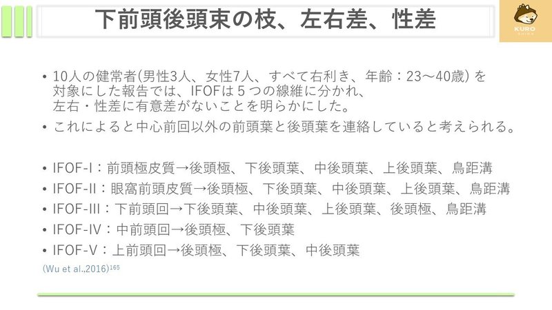 下前頭後頭束(IFOF)について｜くろ 作業療法士