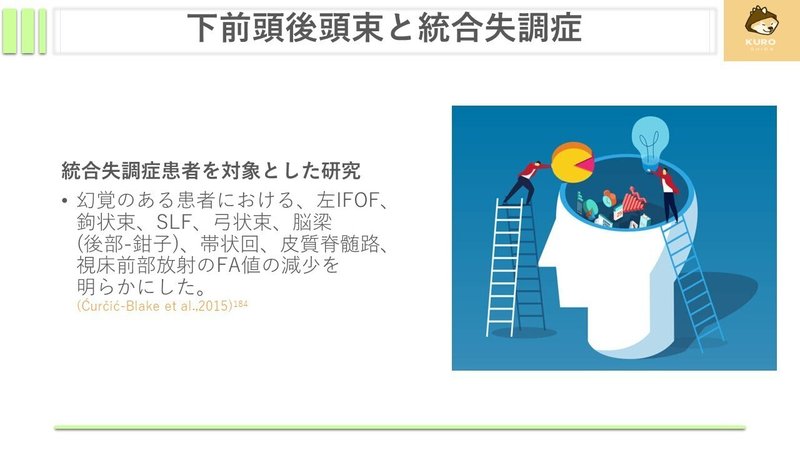 下前頭後頭束(IFOF)について｜くろ 作業療法士