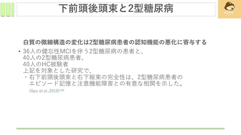 下前頭後頭束(IFOF)について｜くろ 作業療法士