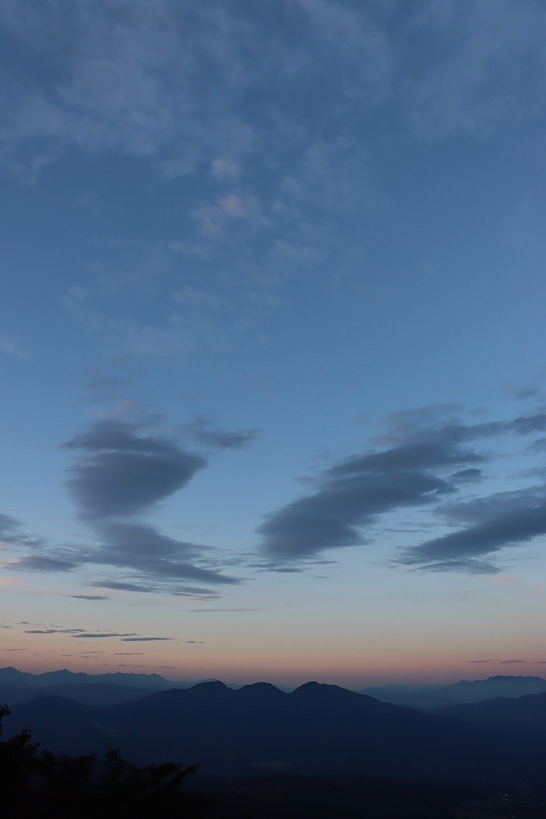 "And when she danced"｜ひら