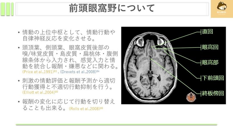 下前頭後頭束(IFOF)について｜くろ 作業療法士