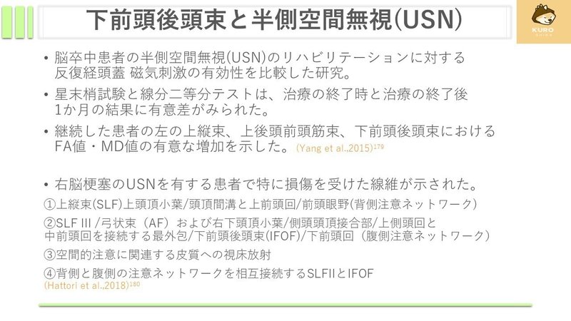 下前頭後頭束(IFOF)について｜くろ 作業療法士