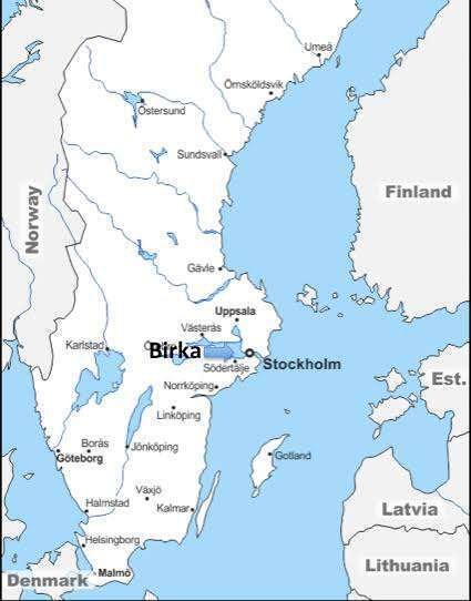 究極のヴァイキング戦士、女性だったと判明｜紗綾