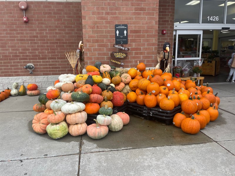 アメリカ遠征記②｜raito_suzuki