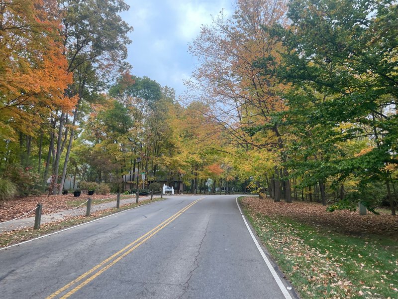 アメリカ遠征記②｜raito_suzuki