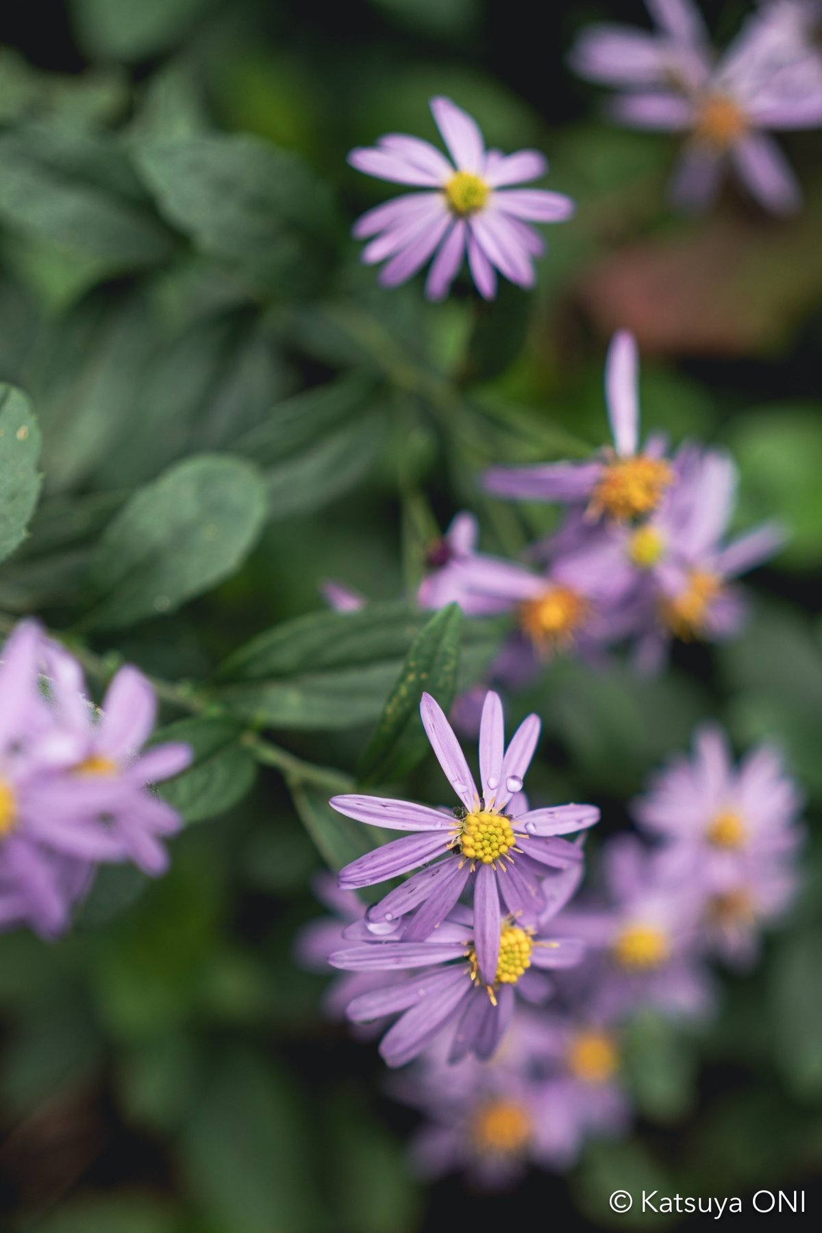 雨の下ノ廊下を歩く(1日目)｜Katsuya ONI