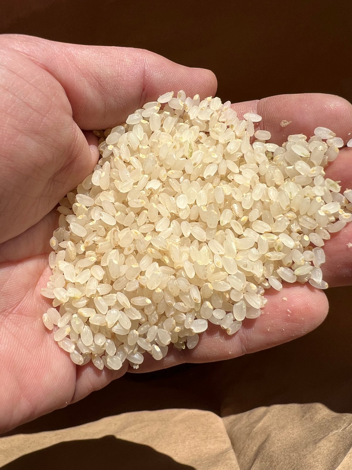 循環式精米機で精米しました。｜bocci bocci ブログ