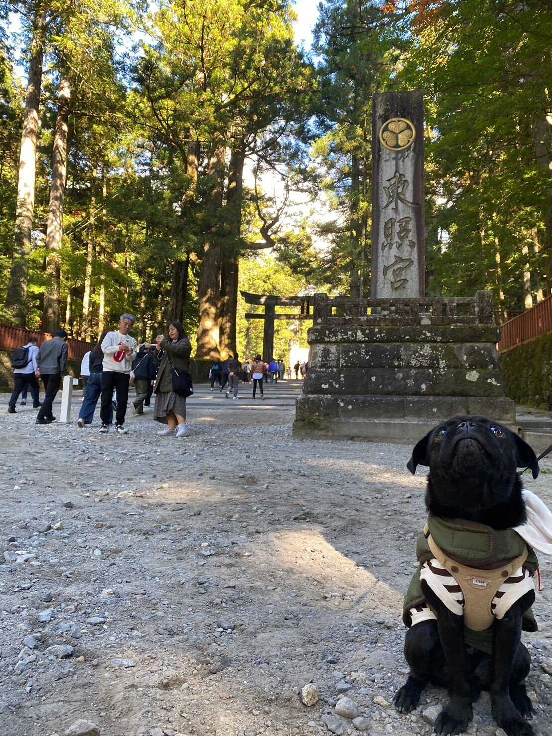 初めて「日光東照宮」へ！｜NoA-noir