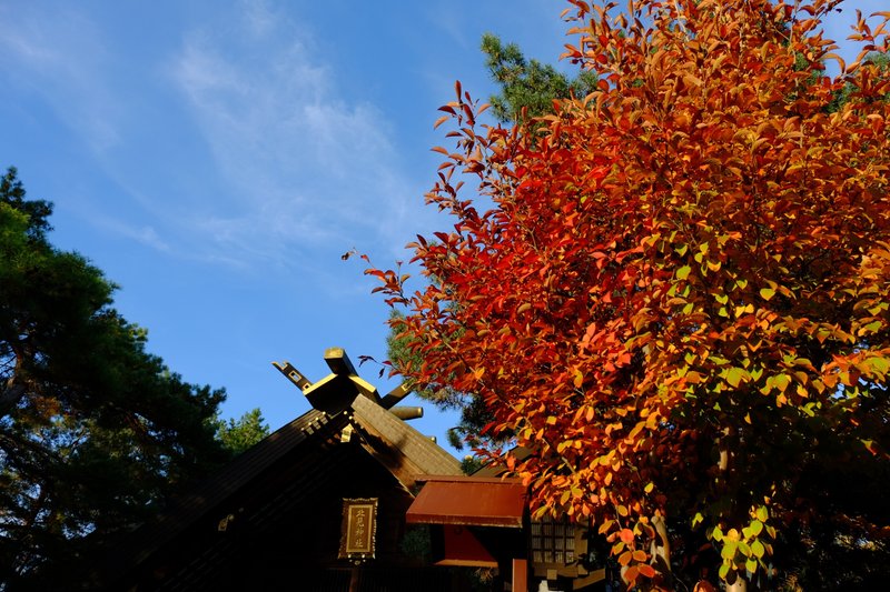 秋晴れの寄り道｜tabito