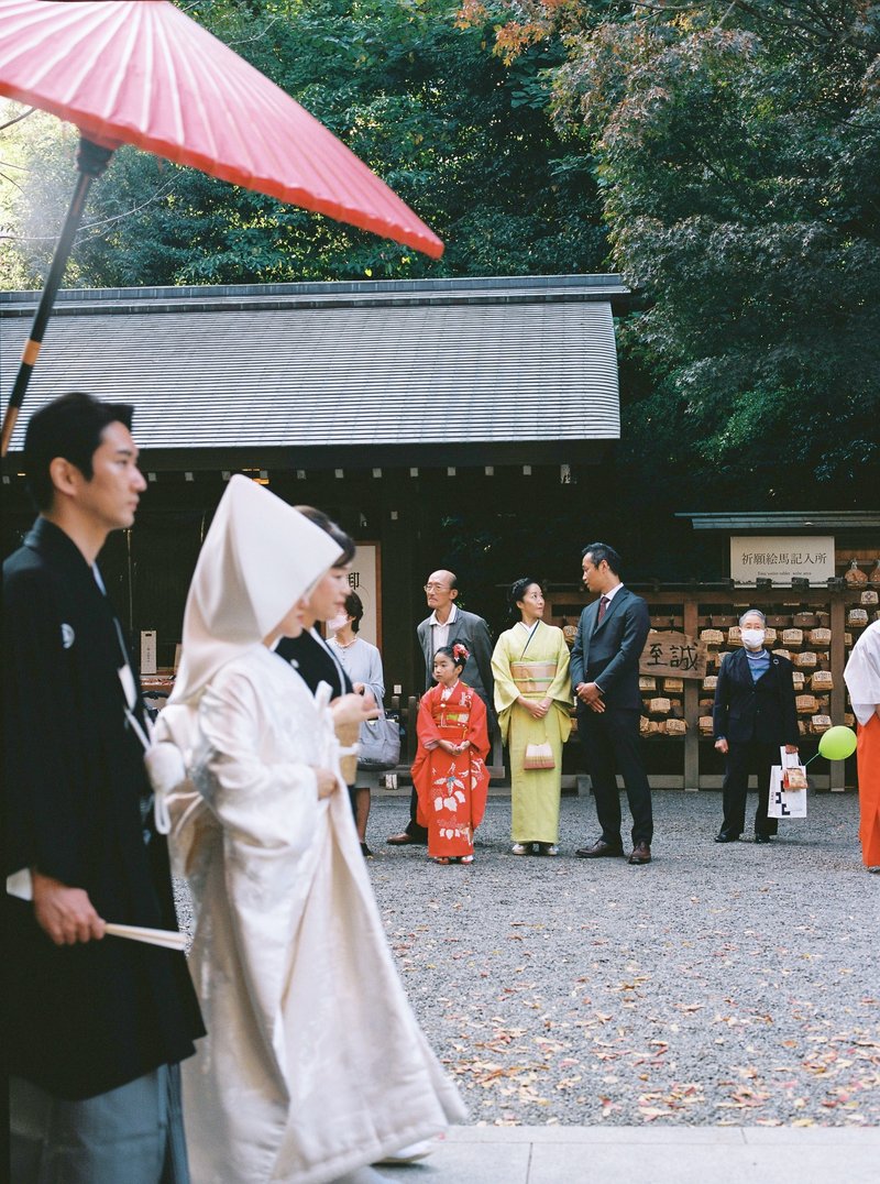 中判フィルム PENTAX645 作例｜Jun Ishibashi -山と写真とカポエイラ-