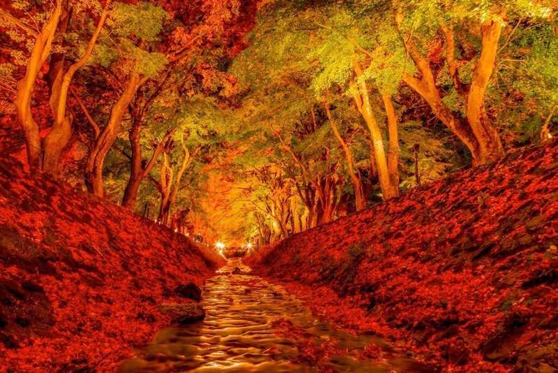 【ソニックブランディング】日本をソニックブランディングする: 音量編｜manabu shimada