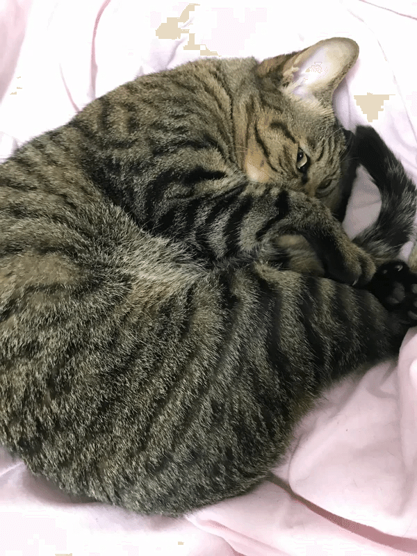 ええ愛の日記と世界の終わり 2023年10月中旬の記録 ｜Reiko Nobuto