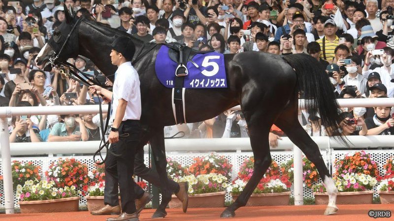 10/29（日）東京11R 天皇賞・秋 赤木の予想｜JRDB 競馬アラカルト