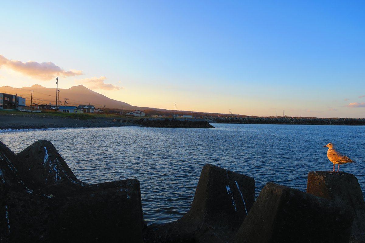 北海道の図書館訪問、100館達成しました！+おすすめ10館紹介｜オラシオ