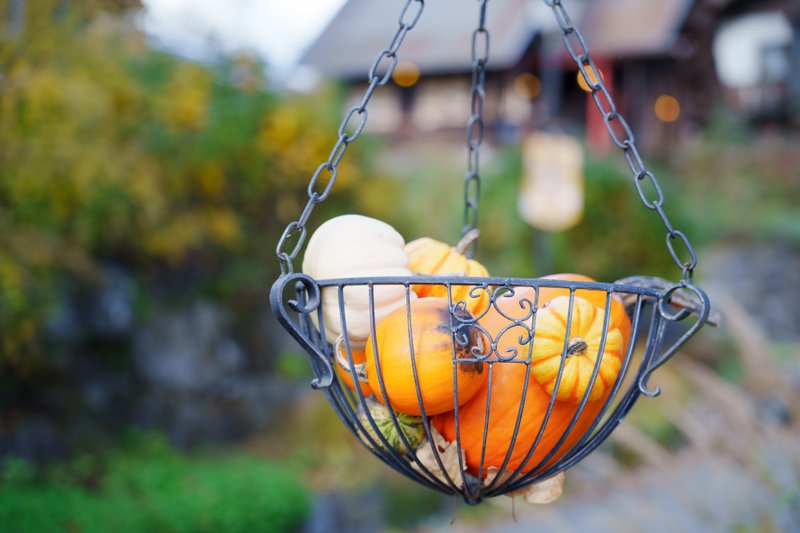 ハロウィン(#1206)｜RURI