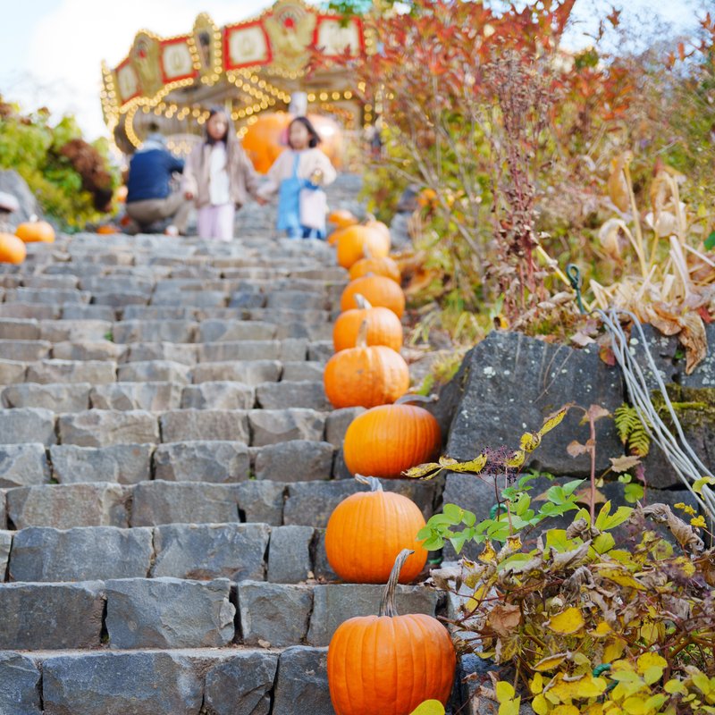 ハロウィン(#1206)｜RURI