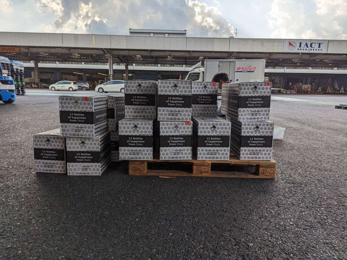 イタリアの新酒！ノヴェッロ解禁【Cignomoro Pepe Nero Novello 2023】｜AlcotradeTrust