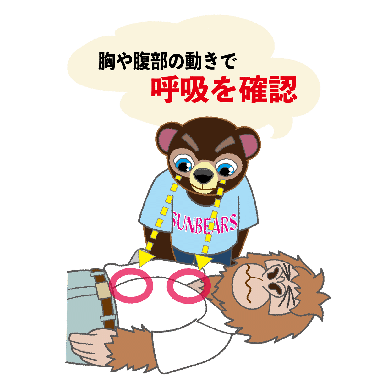 心肺蘇生の手順｜Sunbears Official【公式】
