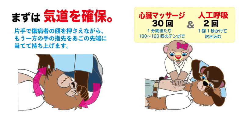 心肺蘇生の手順｜Sunbears Official【公式】