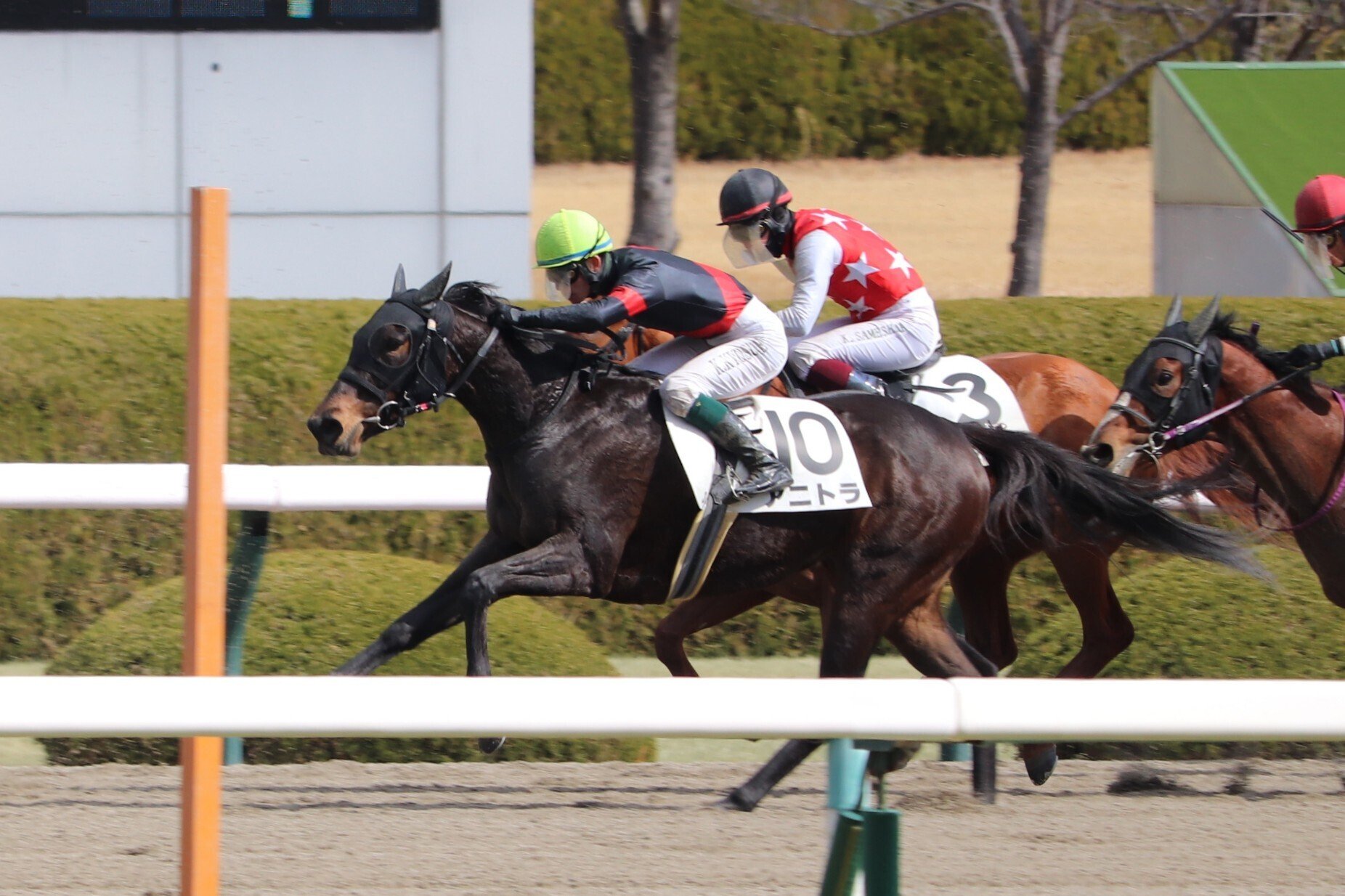 20230225阪神／アニトラ｜千惠
