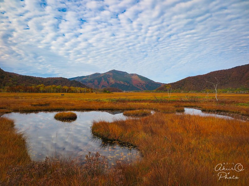Photo Story｜秋憬-あきかげ-/Akikage｜akihiro