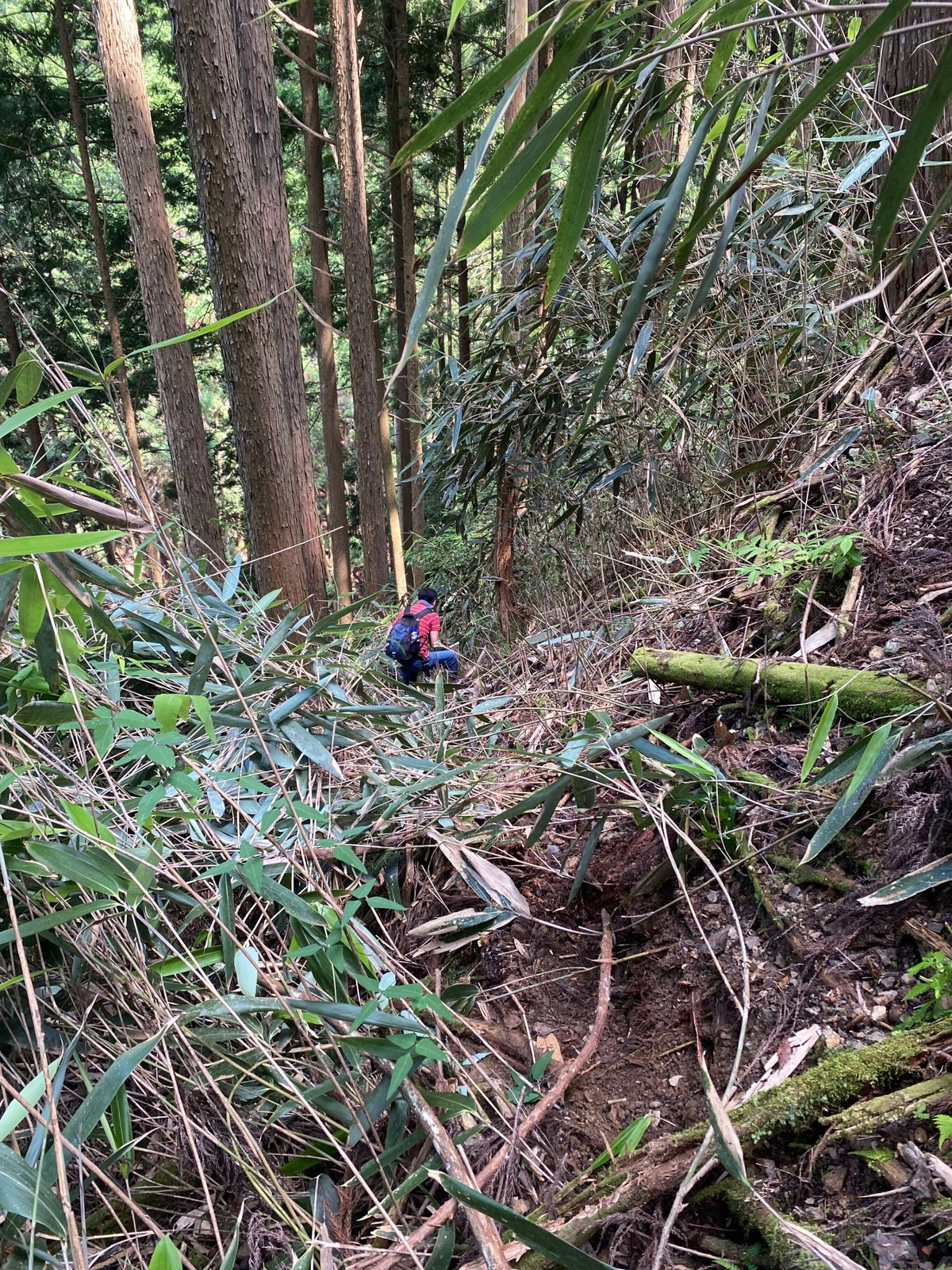 道づくり｜h.shiba