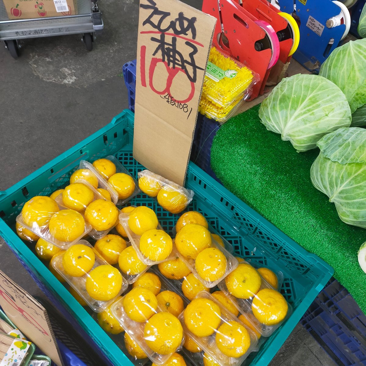 柚子探し 2｜mao_asobi