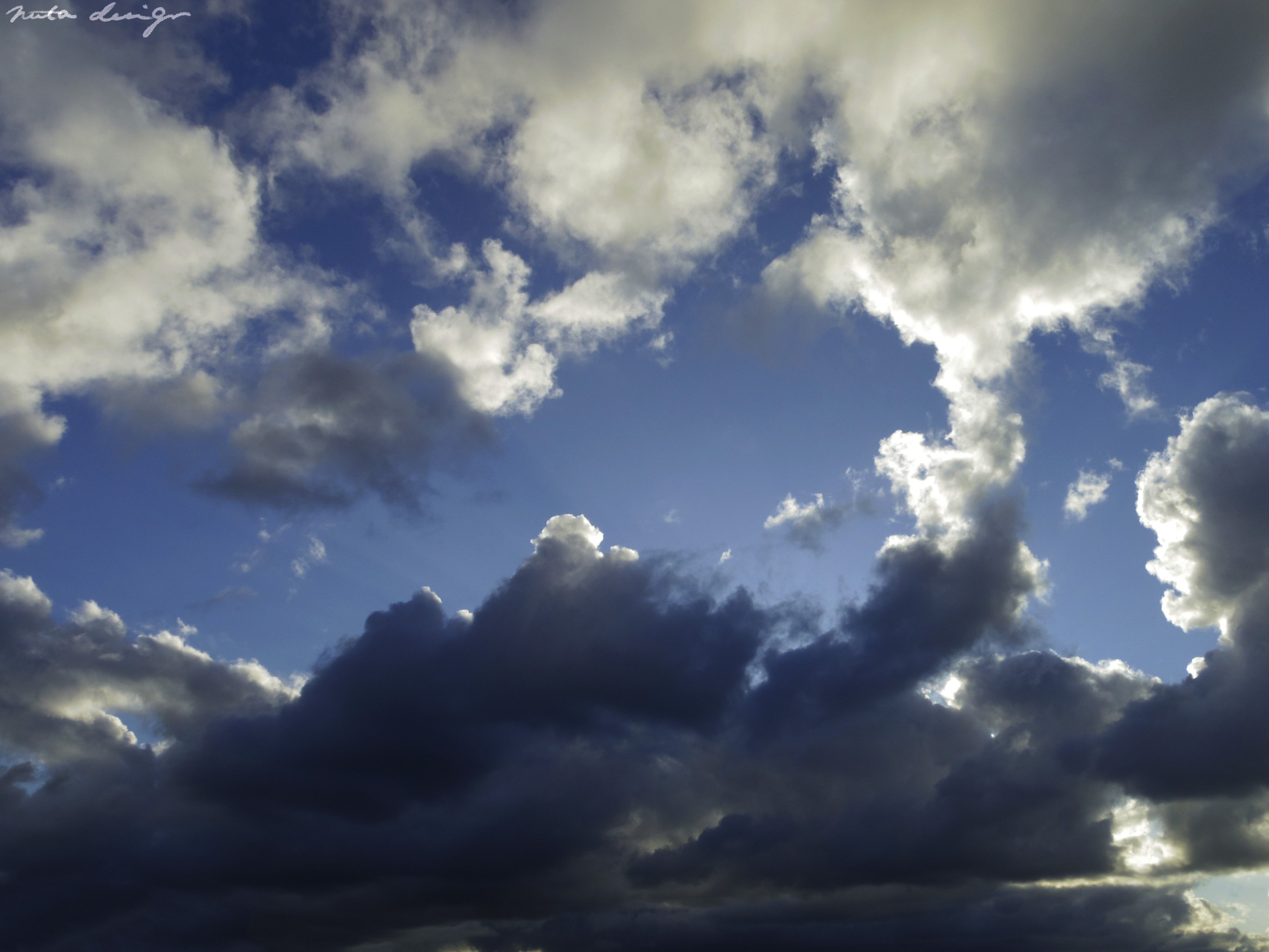 うら寂しい｜nuta design