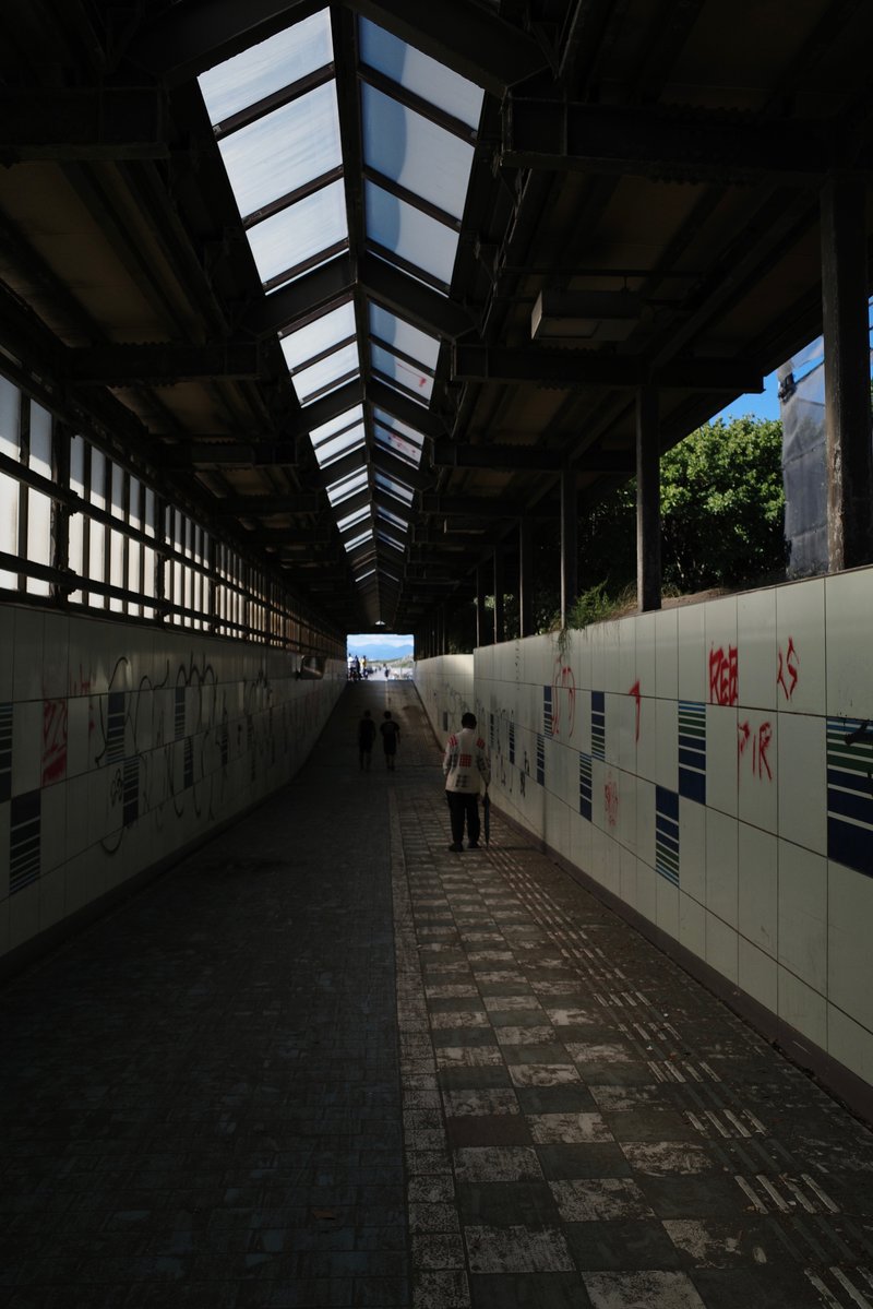 SNAPSHOTS W44-2023｜Takehiko Ono