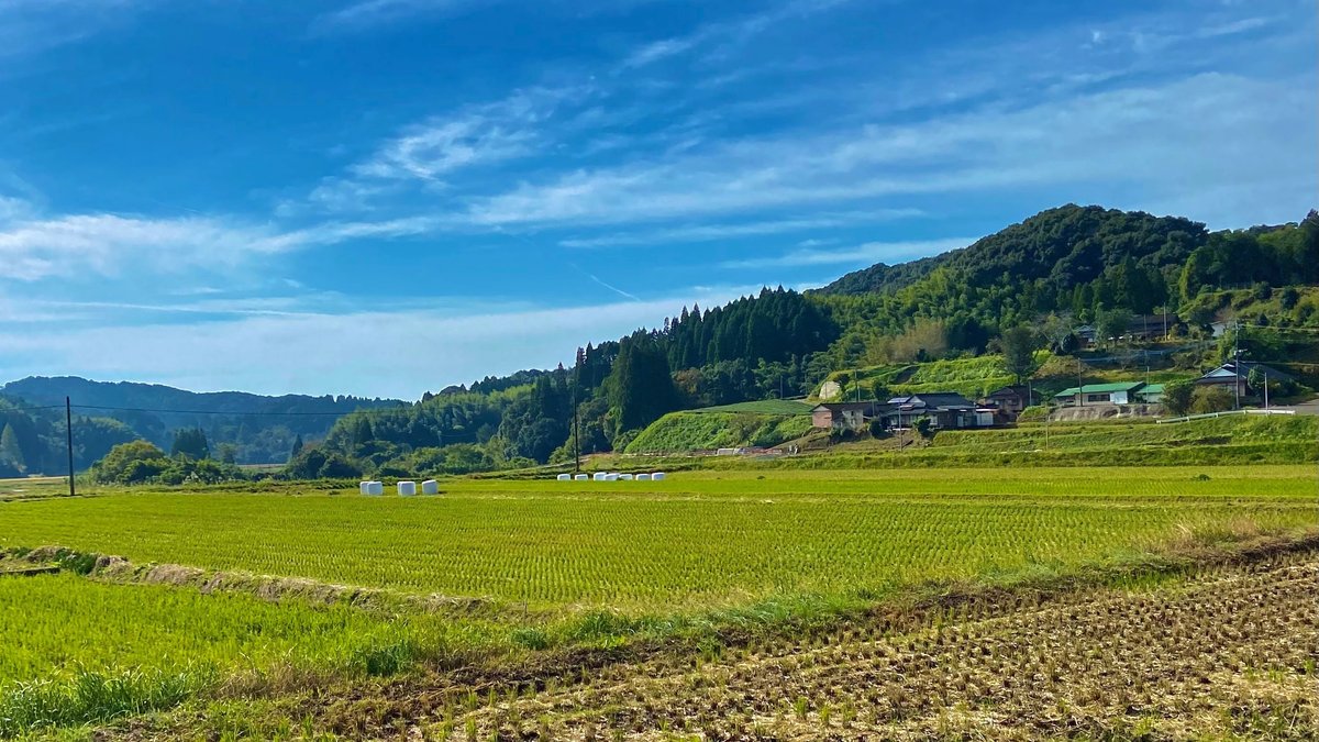 移住したからこその贅沢な時間｜タグチカナコ｜Kanako Taguchi