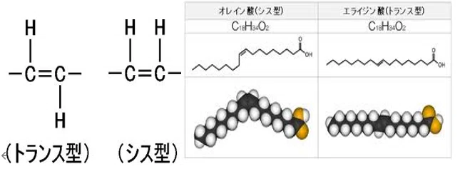 暮らしに役立つ栄養療法③ 糖質制限食における脂肪の摂り方2｜himeno-clinic