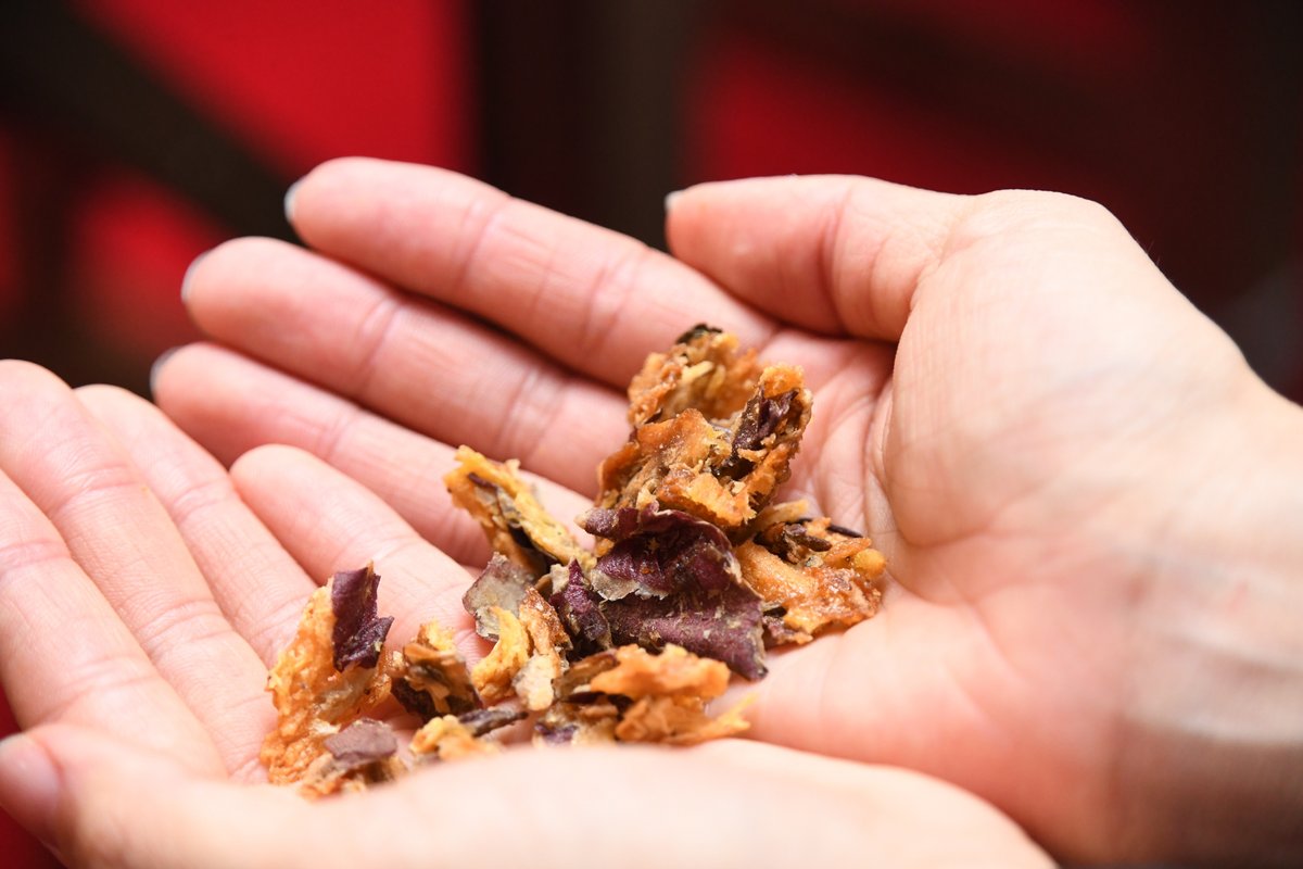 令和5年度SHIO_KAZE中間報告会を実施しました｜ひたちなか市公式note｜茨城県