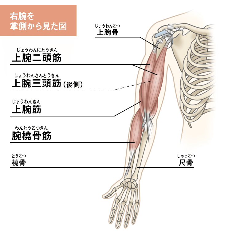 Elecomから新型トラックボール”IST”発売｜Shotaro