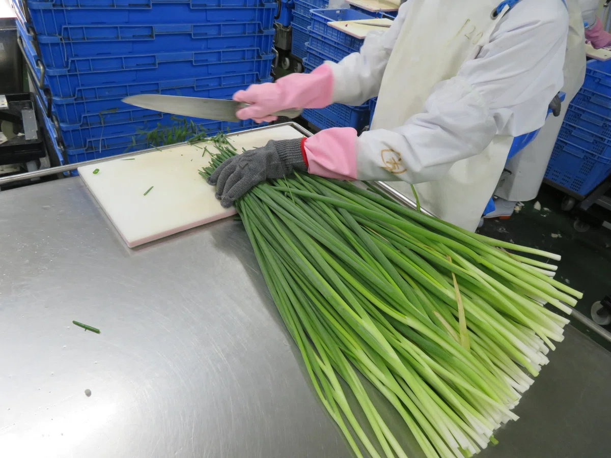 Factory Infiltration Report: How Popular "Cut Green Onions" Are Made ...