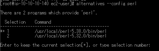 AmazonLinux2023で最新のPerl(5.38)を動かしてみた話し｜株式会社インターパーク
