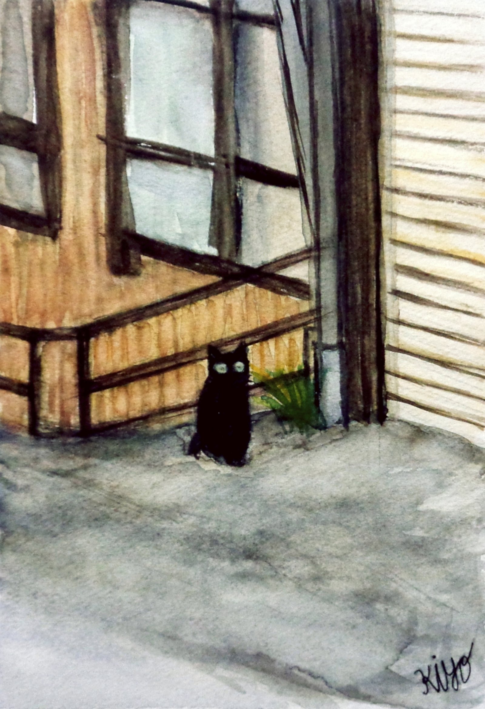 尾道で逢った猫｜塚本紀世一👑🎠🎨水彩画家＠kiyoの世界