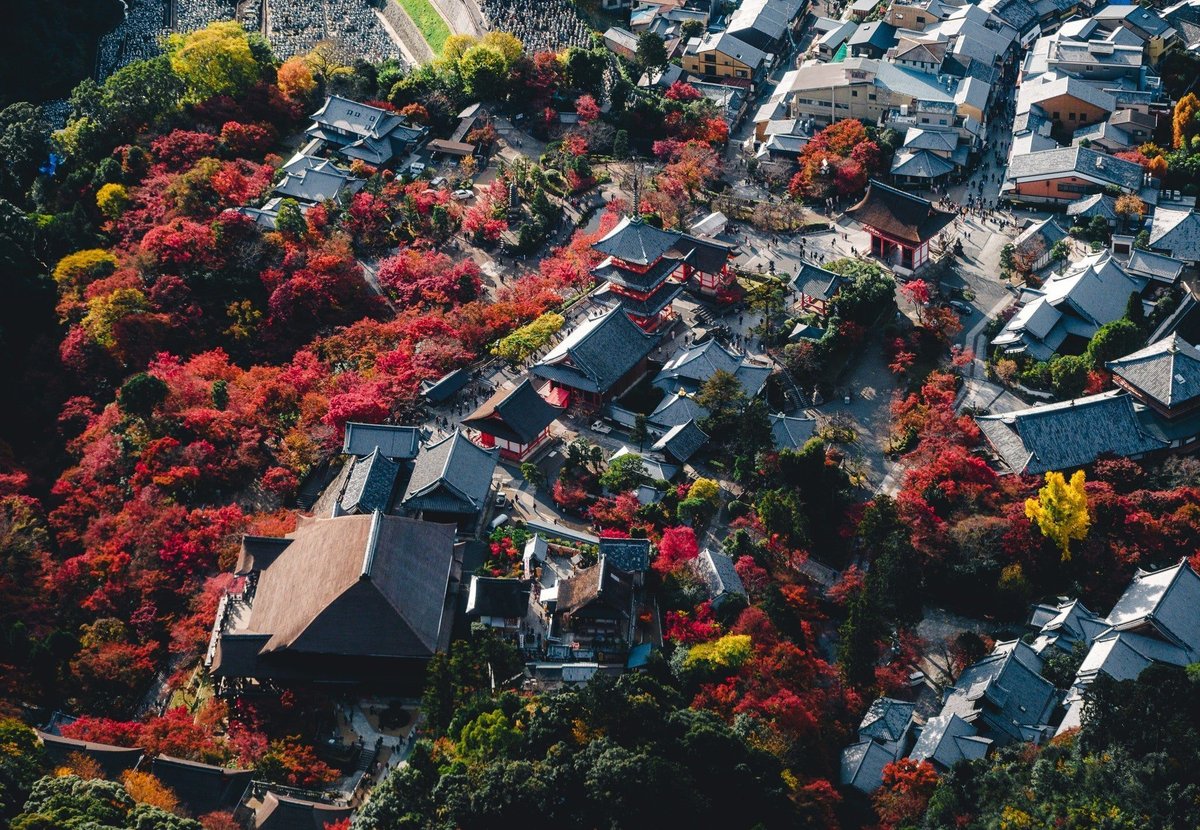 【作例写真30枚】X-E4を4年以上使い続けた本音レビュー｜Nocchi(のっち)