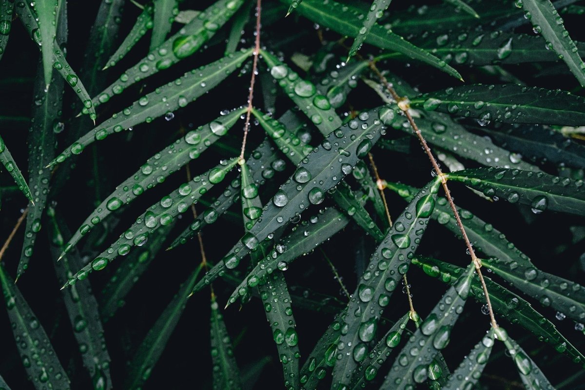 【作例写真30枚】X-E4を4年以上使い続けた本音レビュー｜Nocchi(のっち)