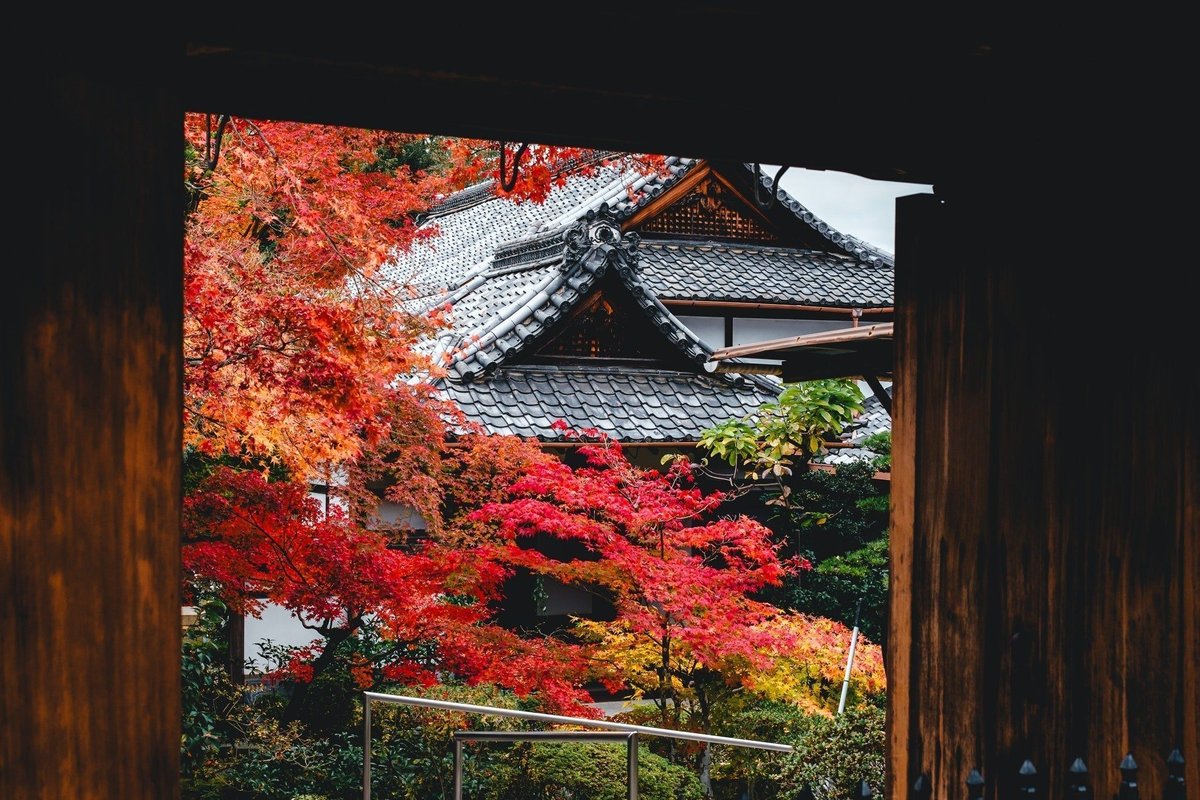 【作例写真30枚】X-E4を4年以上使い続けた本音レビュー｜Nocchi(のっち)